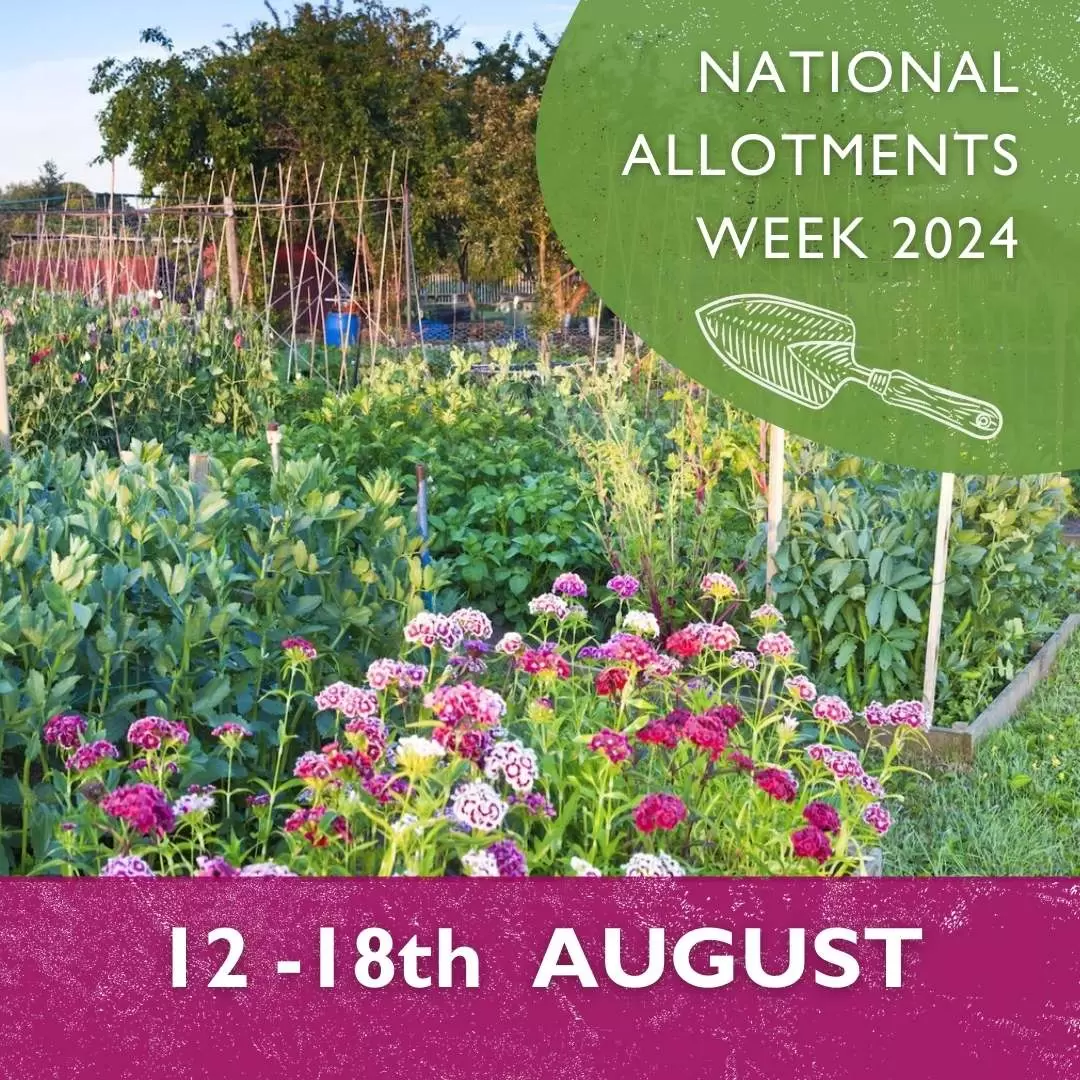 National Allotment Week | Allotment Online